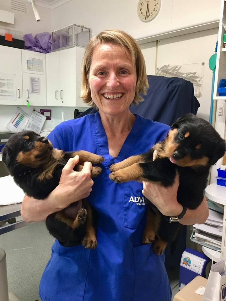 Vet Doncaster | Veterinary Clinic | Elgar Rd Vet